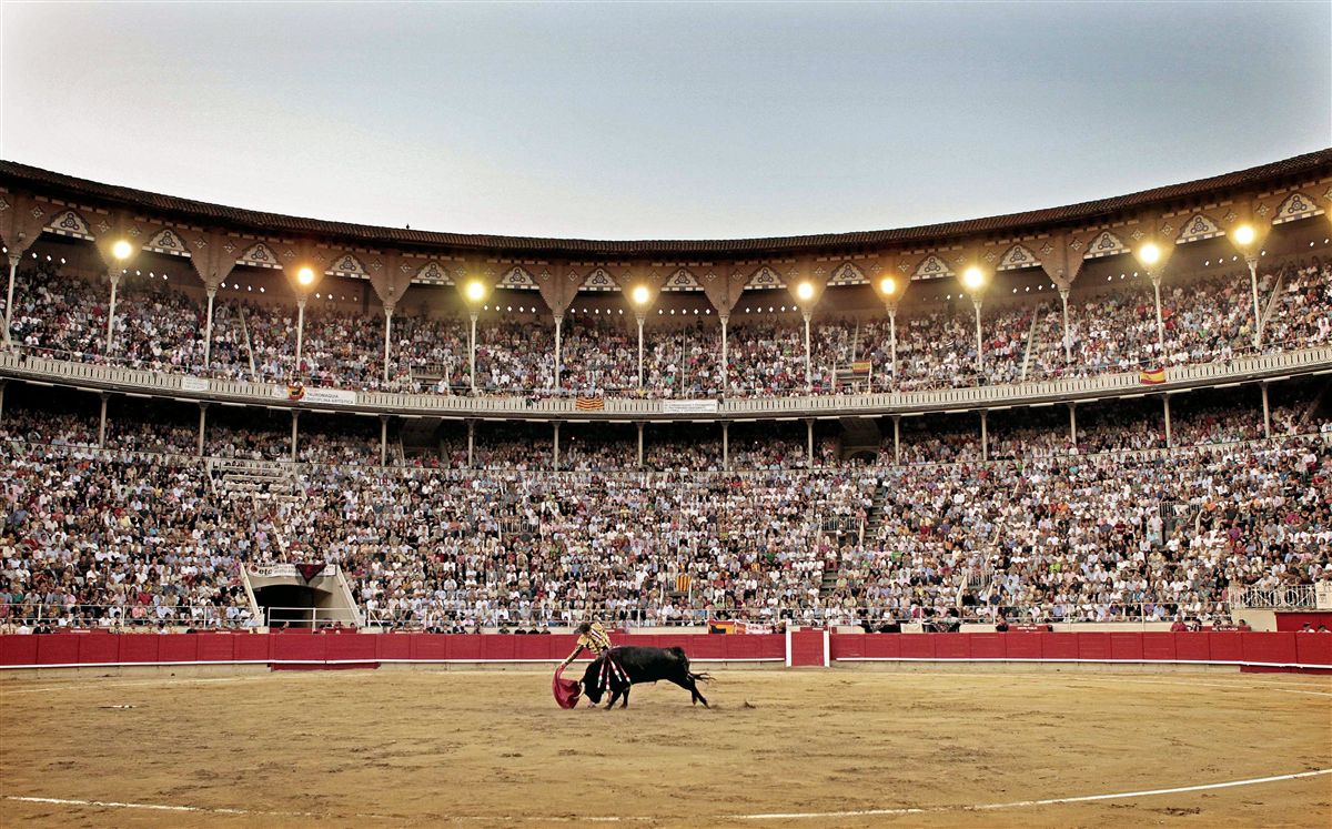 Tourada na Espanha: uma prática controversa - Rumo a Madrid